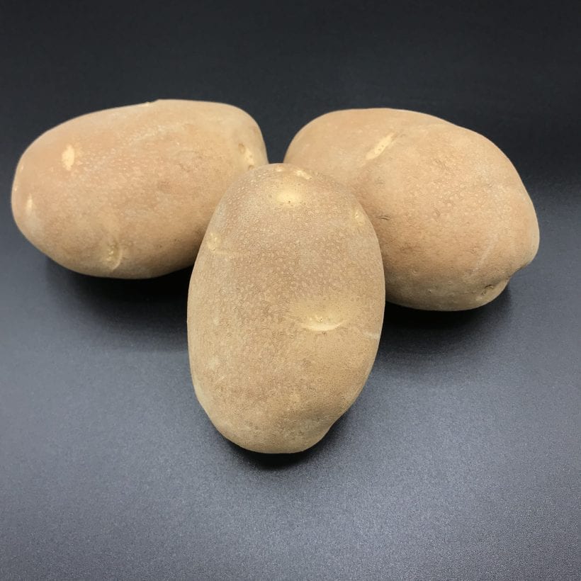 Varieties – Patate Lac-Saint-Jean